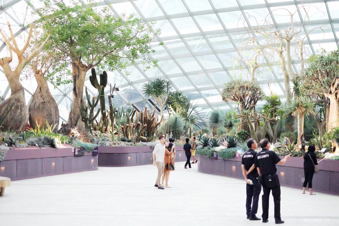 Flower Dome at Gardens by the Bay - Singapore Blog - Mitzie Mee