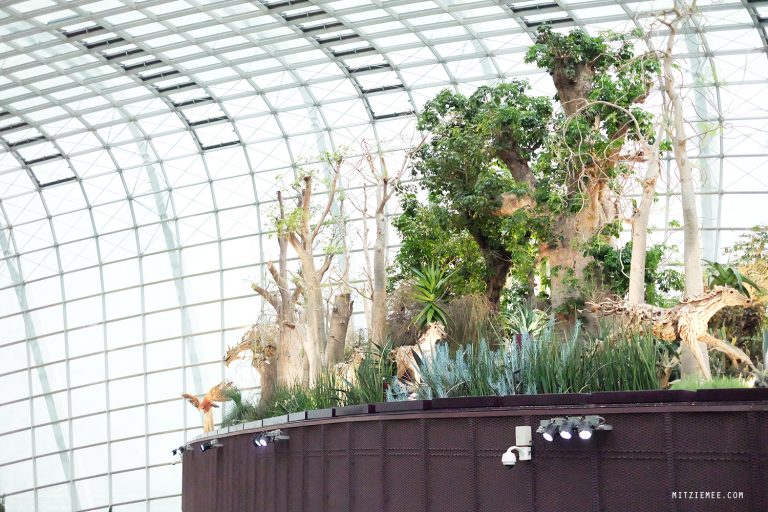 Flower Dome at Gardens by the Bay - Singapore Blog - Mitzie Mee