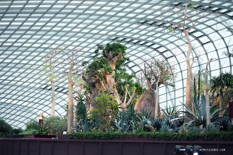 Flower Dome at Gardens by the Bay - Singapore Blog - Mitzie Mee