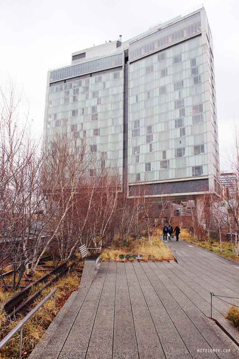 New York: The High Line on a cold December day - Mitzie Mee