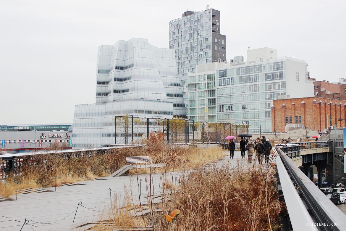 New York: The High Line on a cold December day - Mitzie Mee