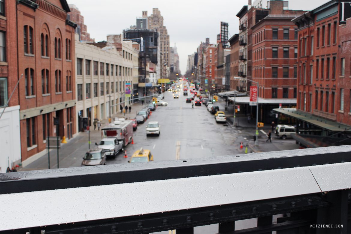 New York: The High Line on a cold December day - Mitzie Mee