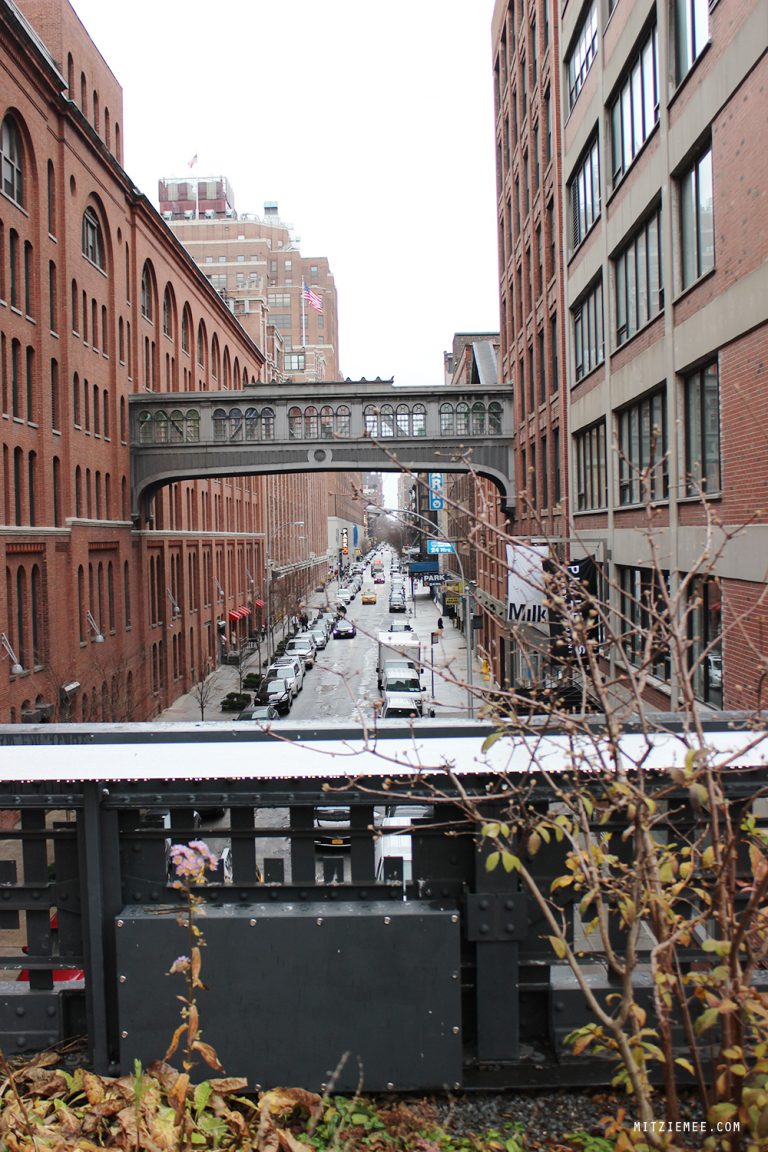 New York: The High Line on a cold December day - Mitzie Mee