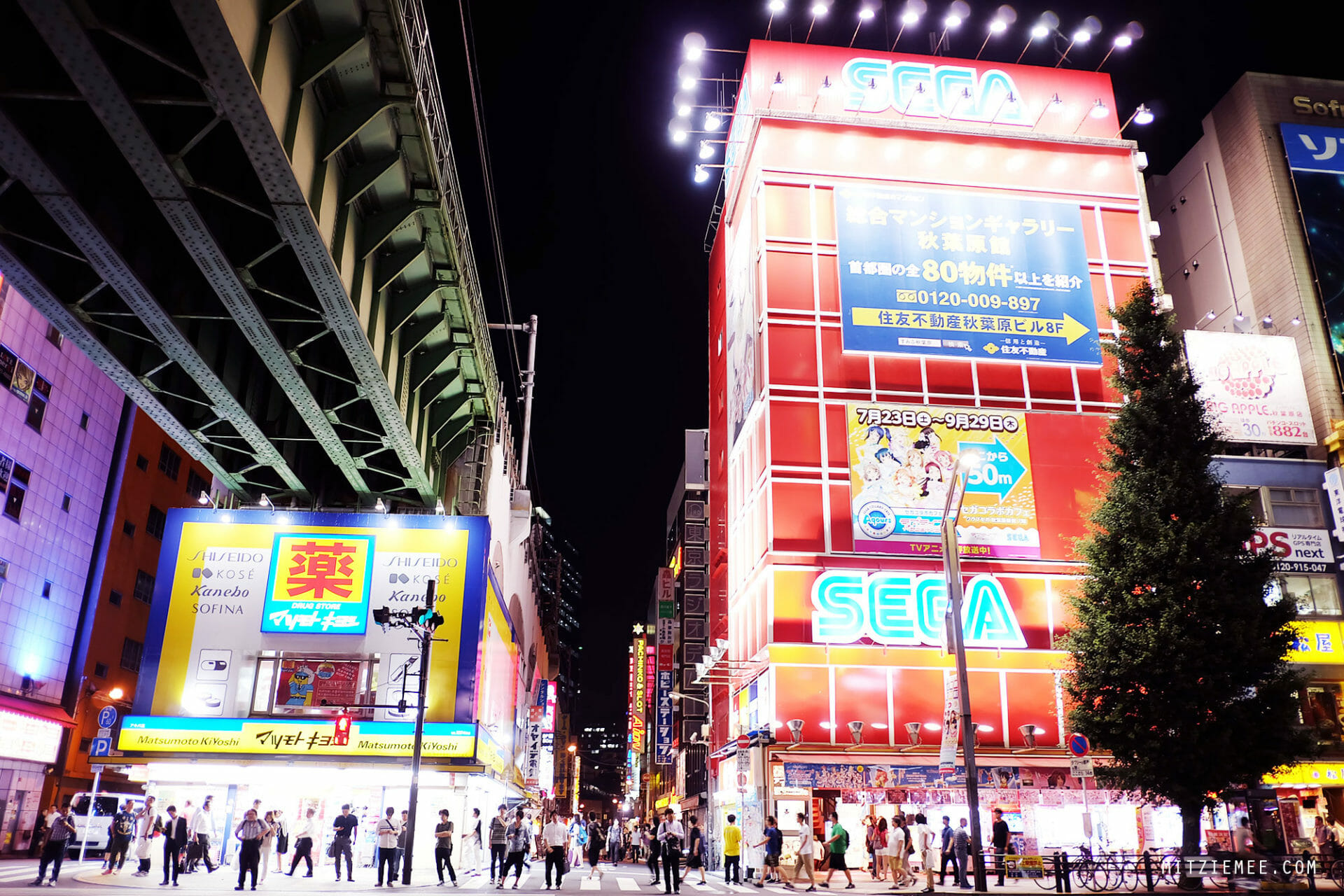 Fun things to do in Tokyo - Tokyo Guide - Mitzie Mee