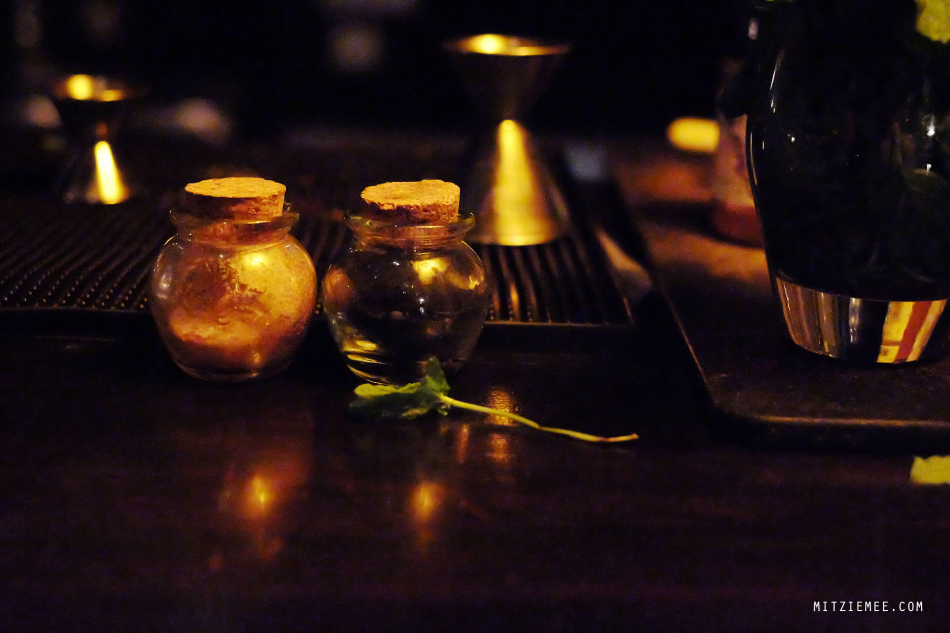 Library Bar at Hollywood Roosevelt - Los Angeles Blog - Mitzie Mee