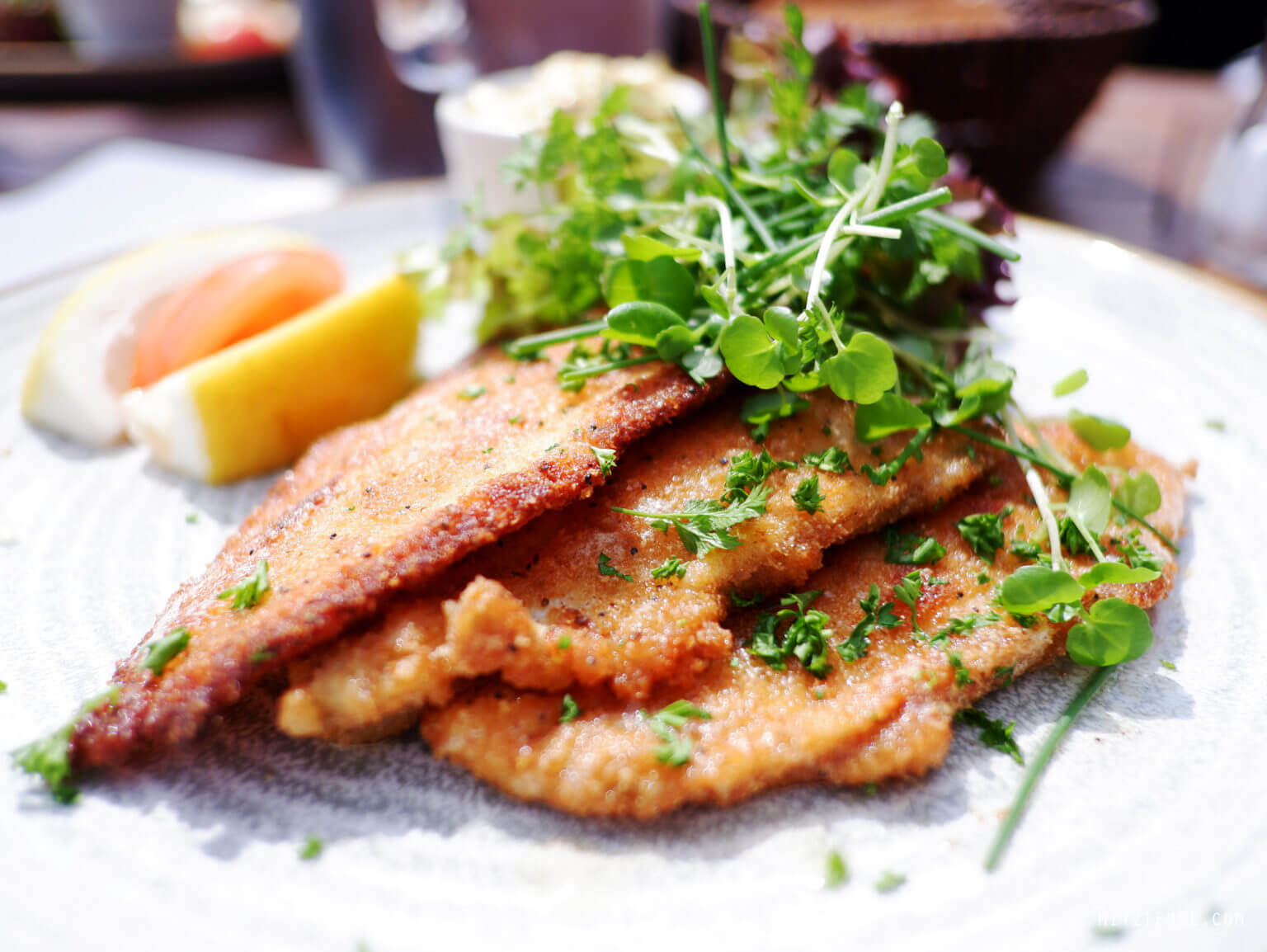 Pan-fried plaice at Strandgaarden - Henne Strand - Mitzie Mee Blog