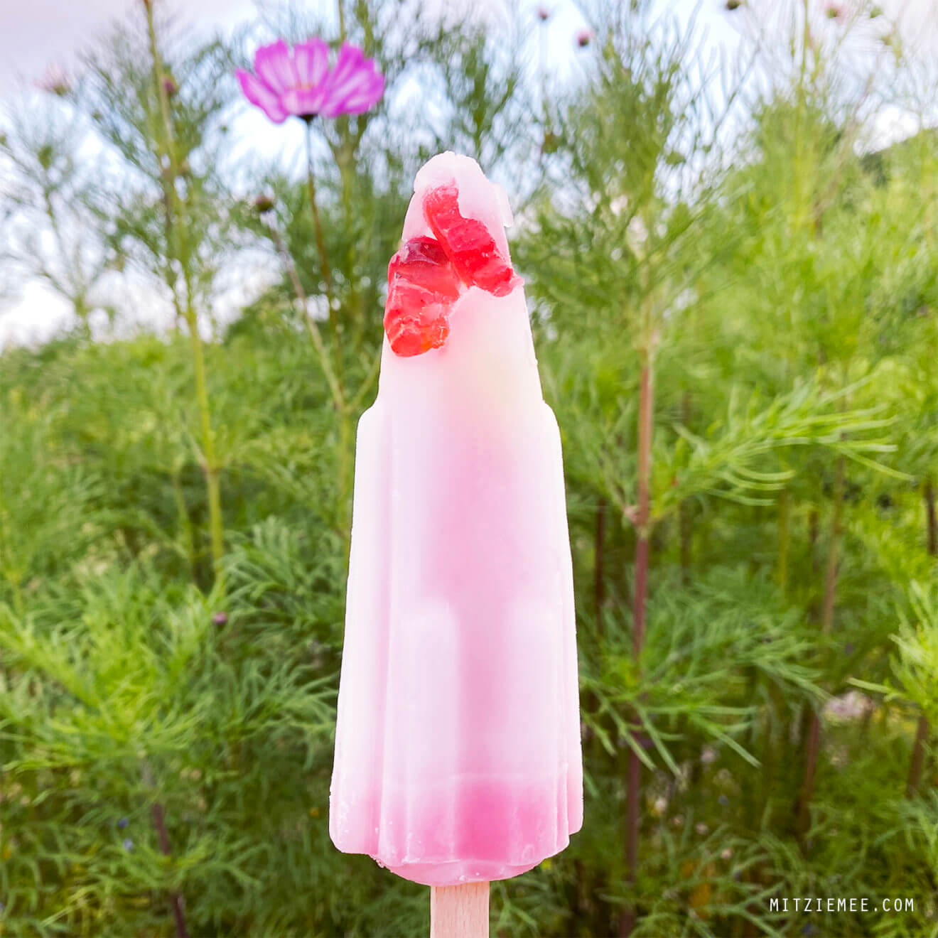 Denmark: The Astronaut Popsicle - Mitzie Mee