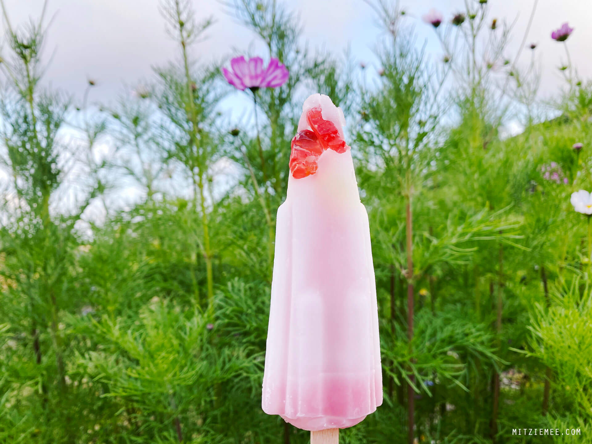 Denmark: The Astronaut Popsicle - Mitzie Mee