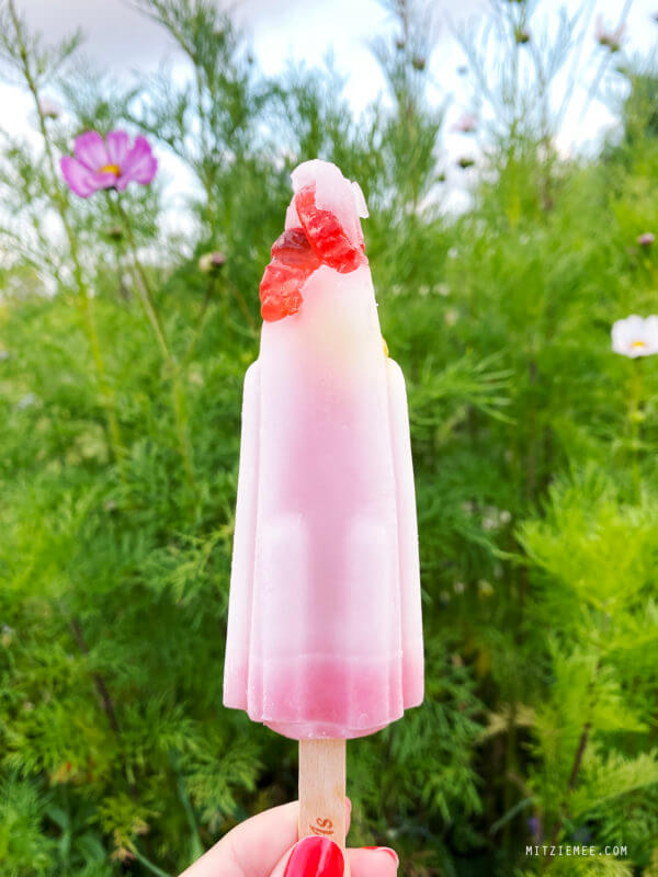 Denmark: The Astronaut Popsicle - Mitzie Mee