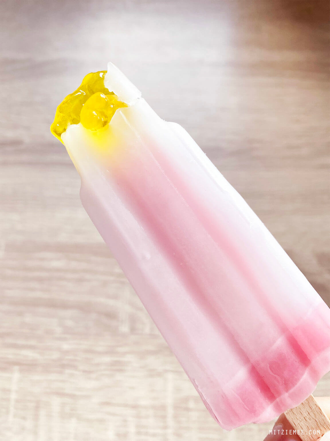 Denmark: The Astronaut Popsicle - Mitzie Mee