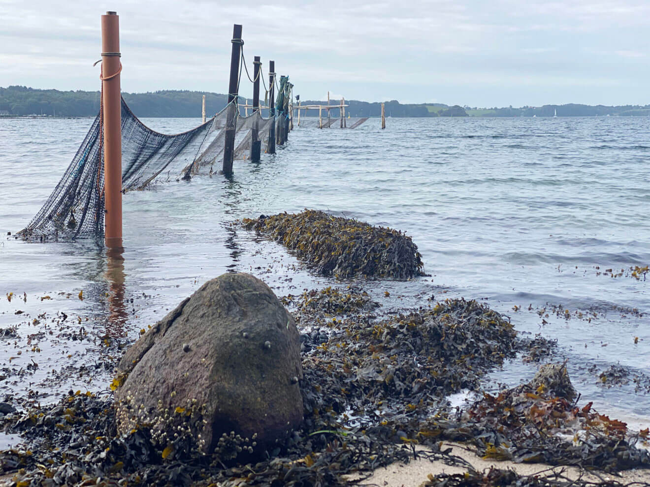 A walk along Skærbæk Beach - Fredericia Blog - Mitzie Mee