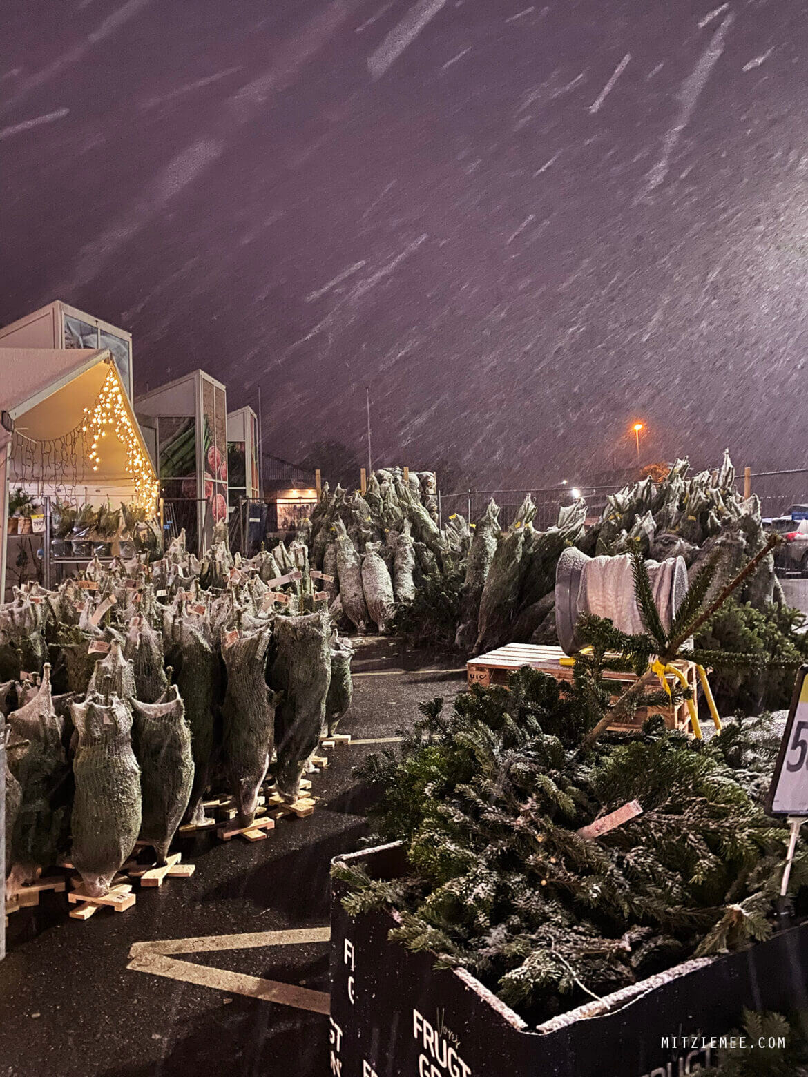 Back in Denmark - Back in the snow - Mitzie Mee