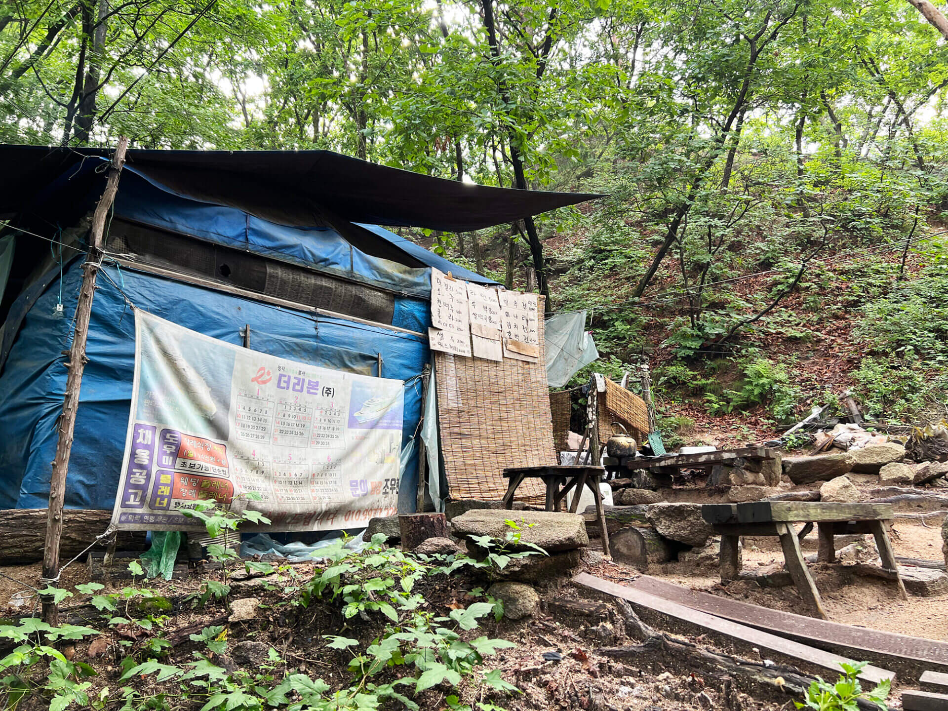 Seoul: Suraksan - A hike to the top - Mitzie Mee