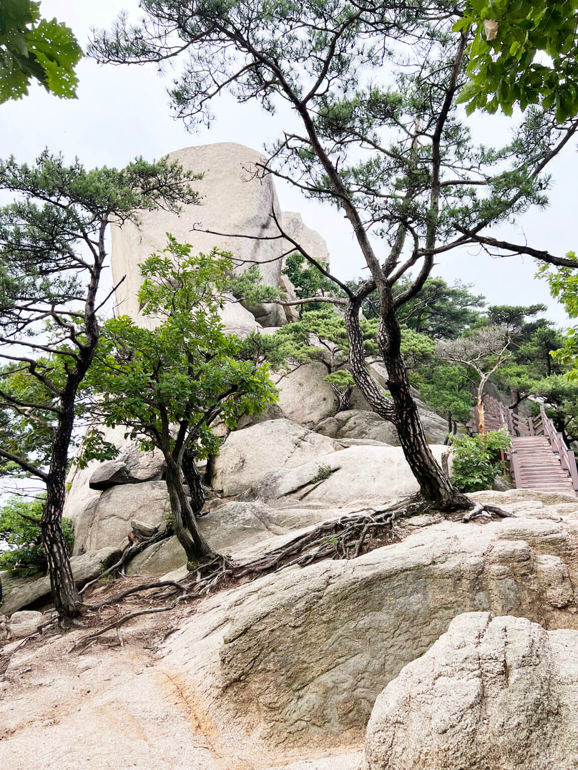 Seoul: Suraksan - A hike to the top - Mitzie Mee