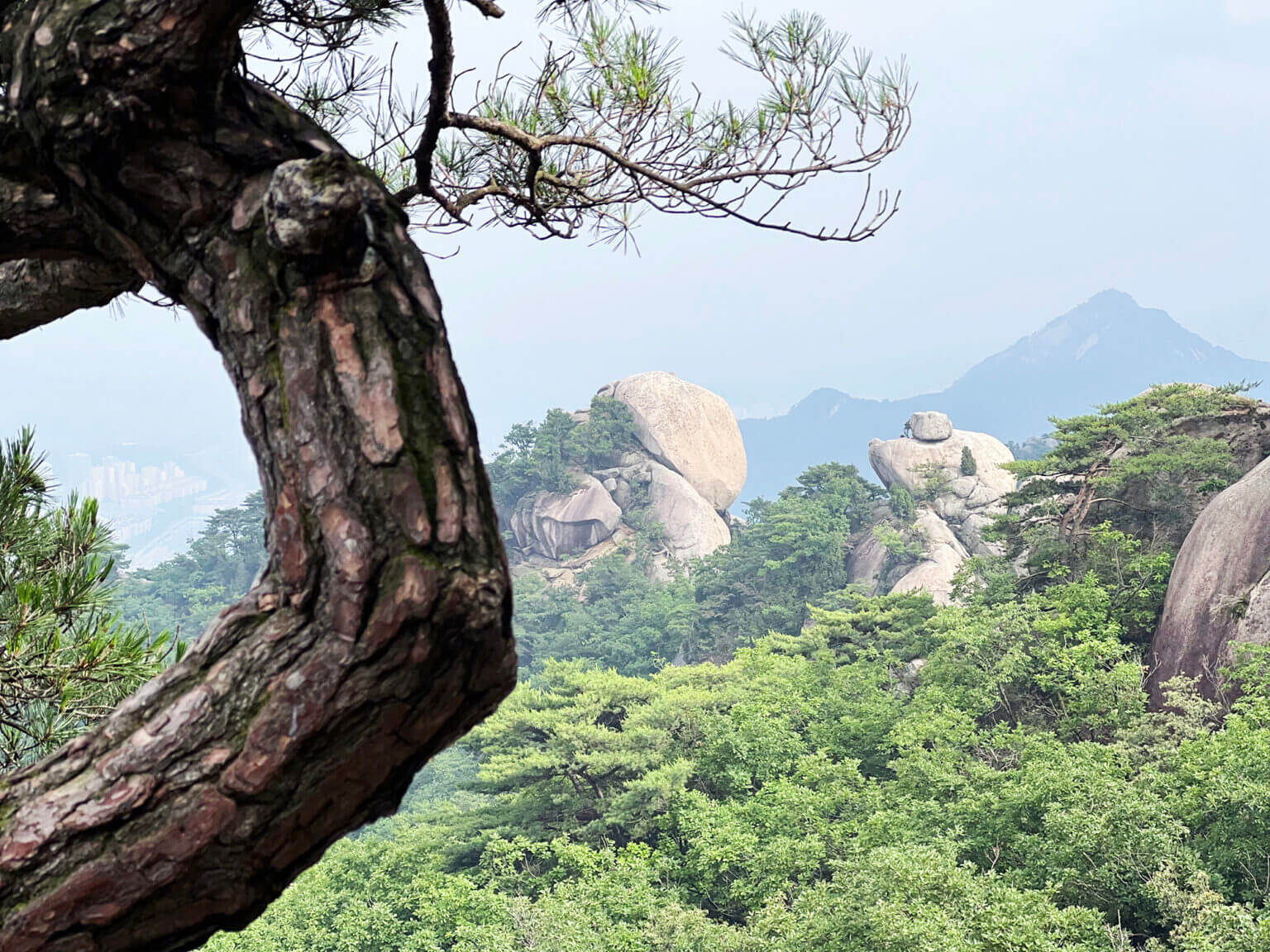 Seoul: Suraksan - A hike to the top - Mitzie Mee