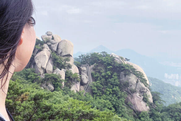 Gaebul - Korean Penis Fish - Korean Food Blog