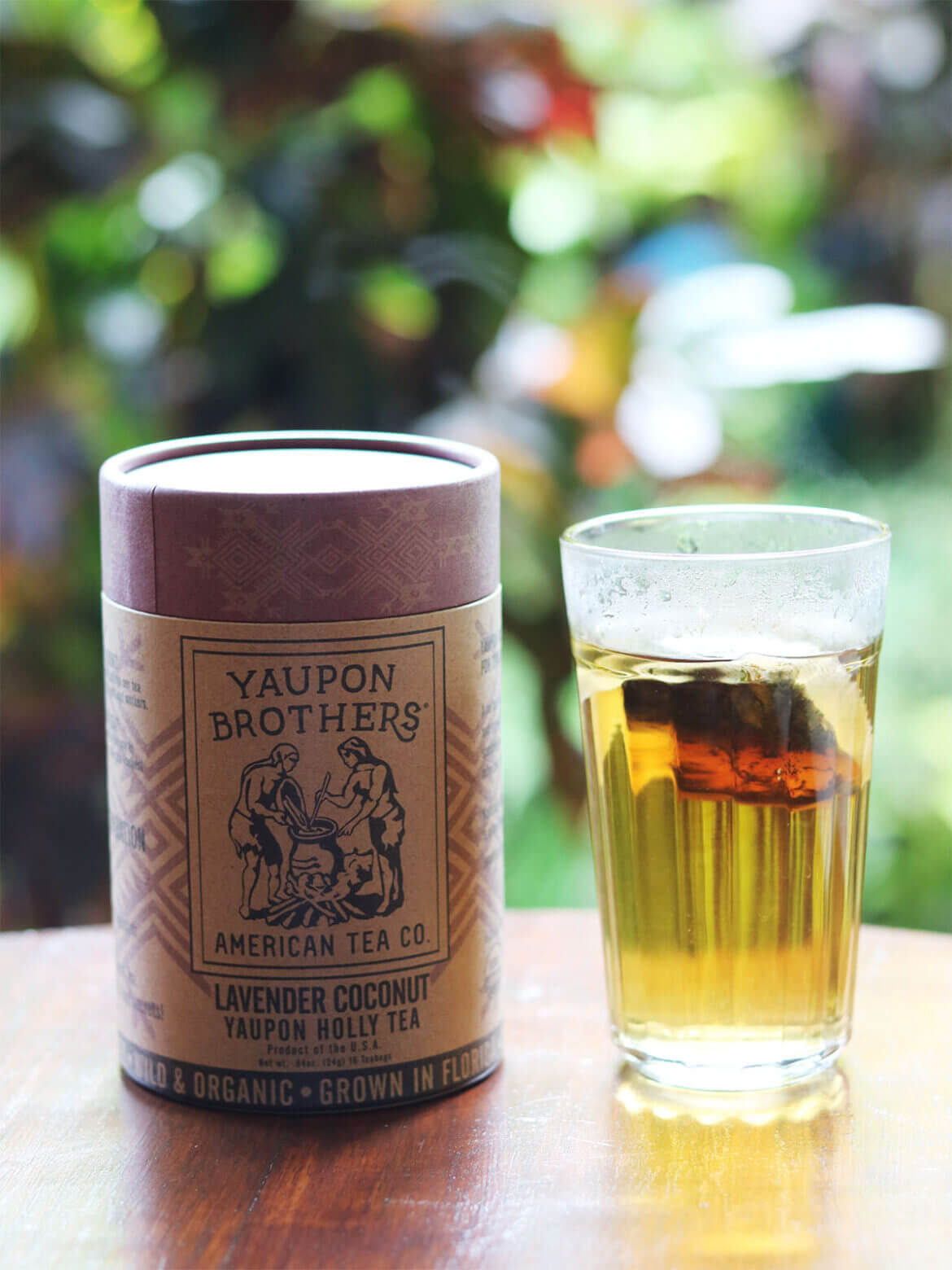 Discovering Yaupon Holly Tea - A Native American Tea with a Modern Twist