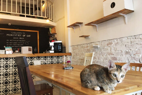 Phnom Penh street food - Num Krok - Mitzie Mee