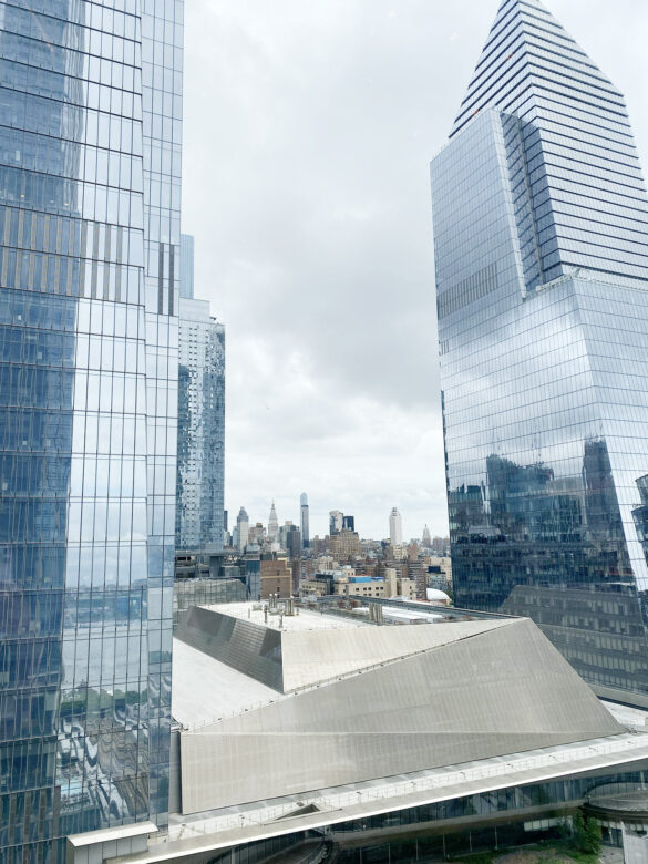 Brunch at Electric Lemon - Equinox Hotel - Hudson Yards - New York City ...