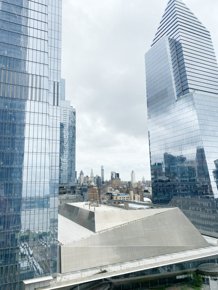 Brunch at Electric Lemon - Equinox Hotel - Hudson Yards - New York City ...