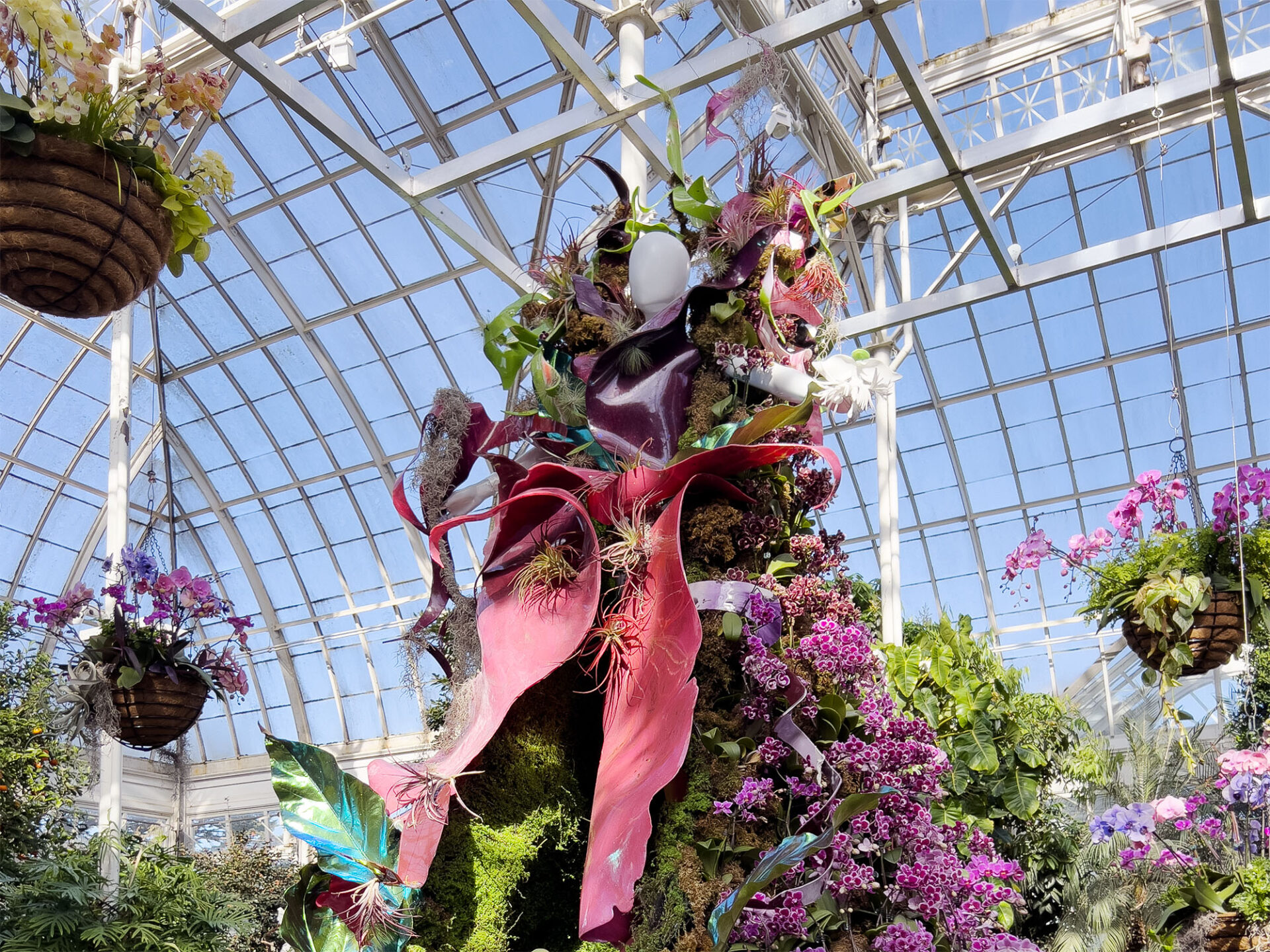 The Orchid Show at New York Botanical Garden - New York City Blog