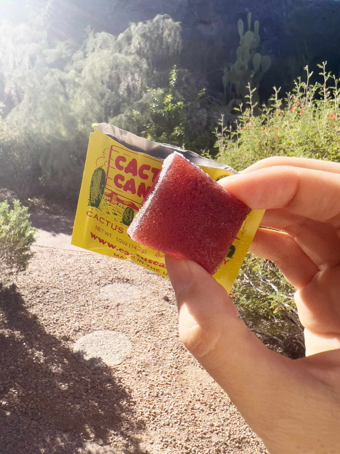Review: Prickly Pear Cactus Candy - Mitzie Mee