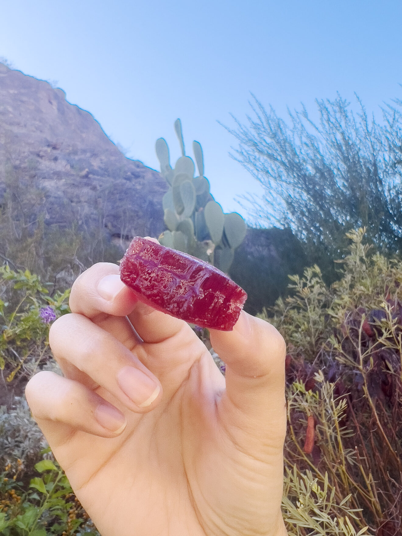 Review: Prickly Pear Cactus Candy - Mitzie Mee