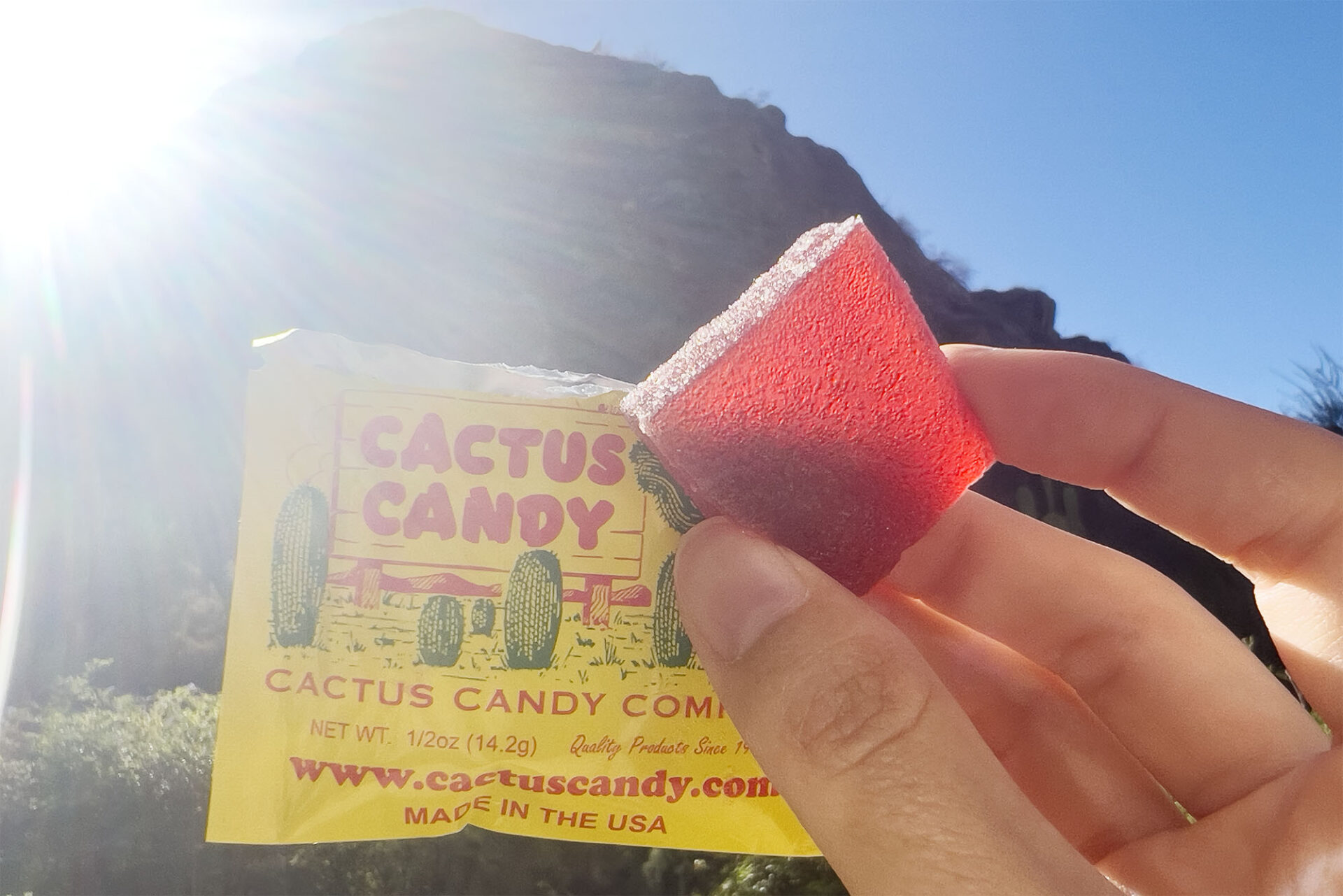 Review: Prickly Pear Cactus Candy - Mitzie Mee Blog