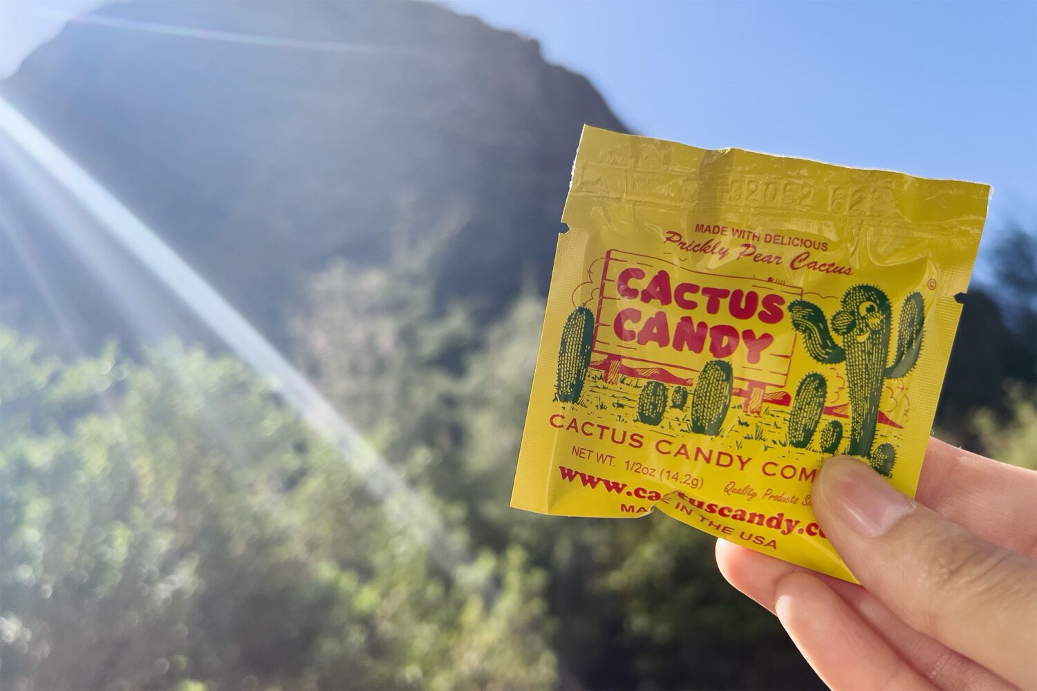 Review: Prickly Pear Cactus Candy - Mitzie Mee Blog